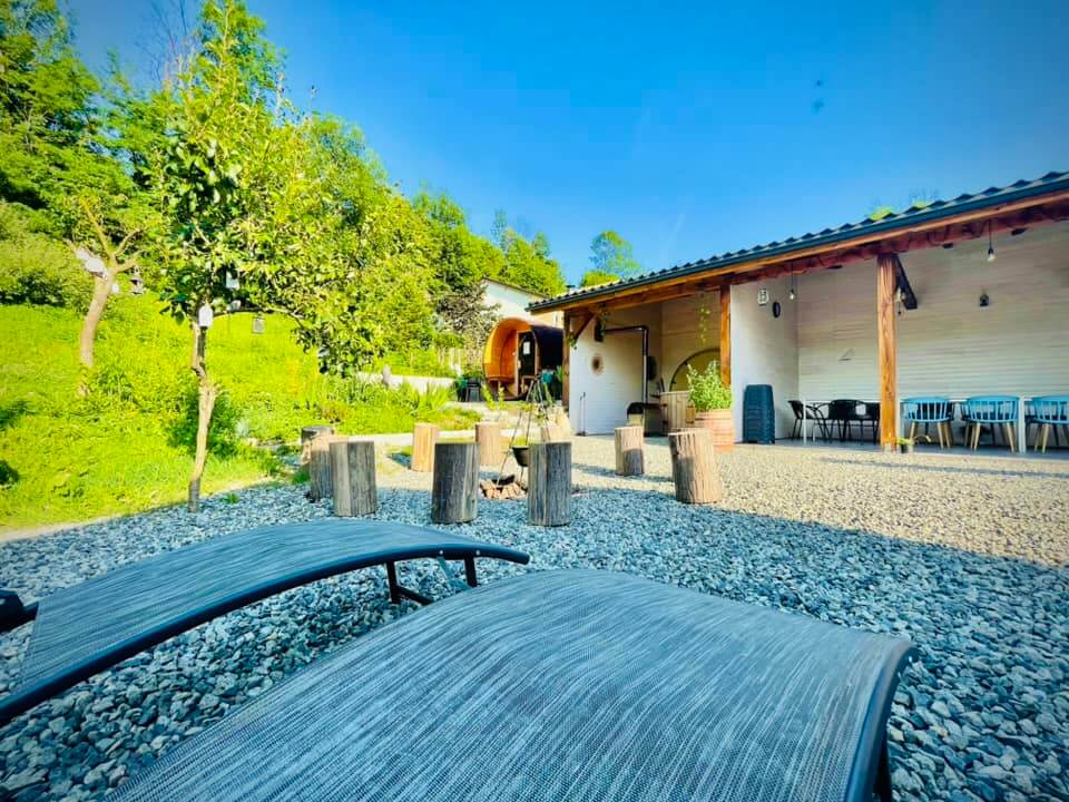 Vila Montana,o superba locatie de cazare localizata in Văliug - Vacante ...